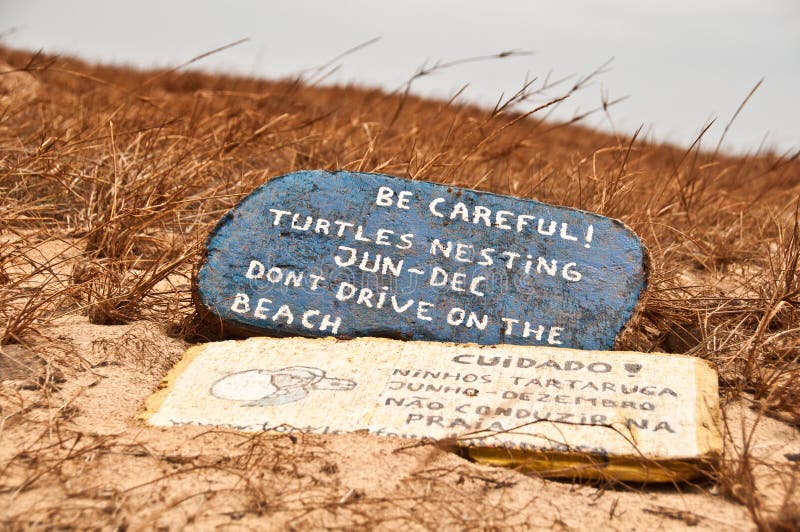 Turtles Nesting Warning Sign on the Beach Stock Photo - Image of cage ...