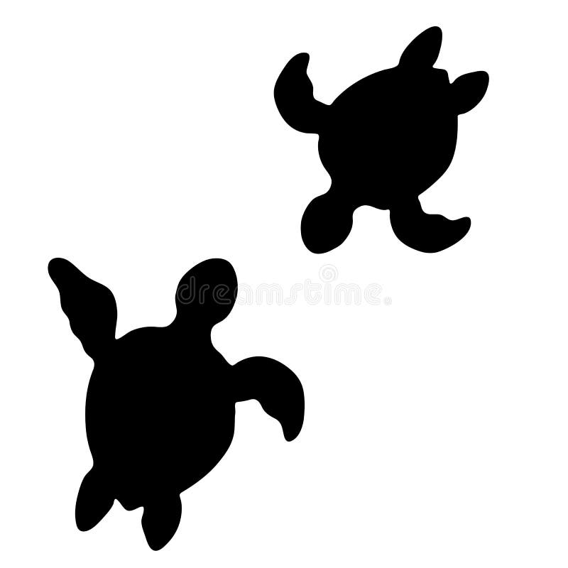 Tortoiseshell Testudo Stock Illustrations – 32 Tortoiseshell Testudo ...