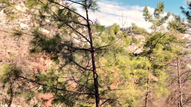 Turunc, Turkey. Top View of Turkey Region. Stock Video - Video of ...