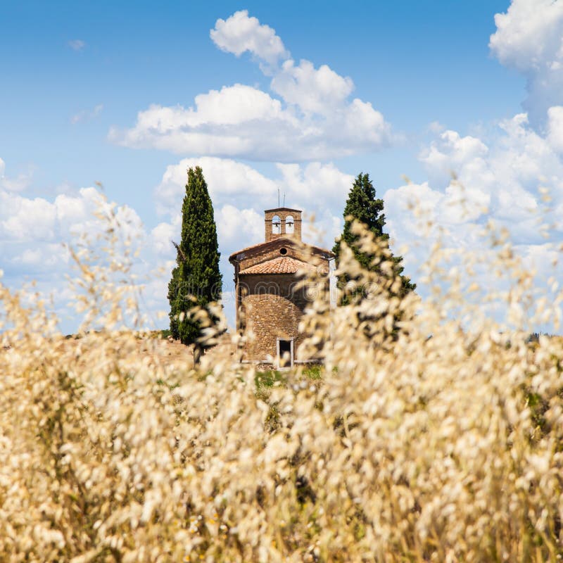 Tuscan country stock photo. Image of plant, hill, country - 38388478