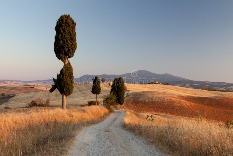 Tuscan Countryside at Sunset, Italy Stock Photo - Image of pienza ...