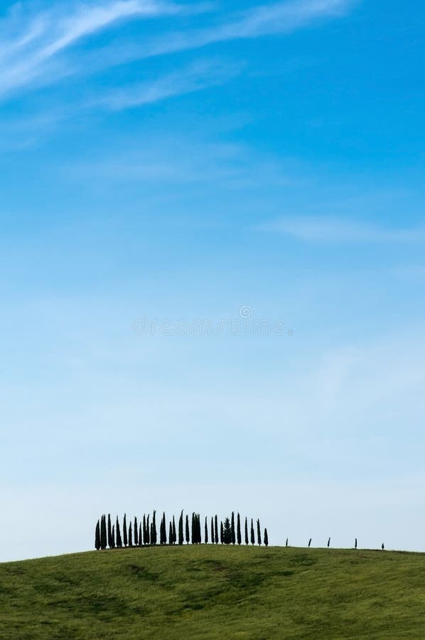 Tuscan cypress trees stock image. Image of pine, countryside - 54817395