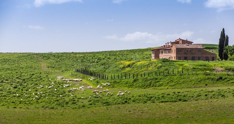 Tuscan farm villa stock photo. Image of tuscany, winery - 75323512
