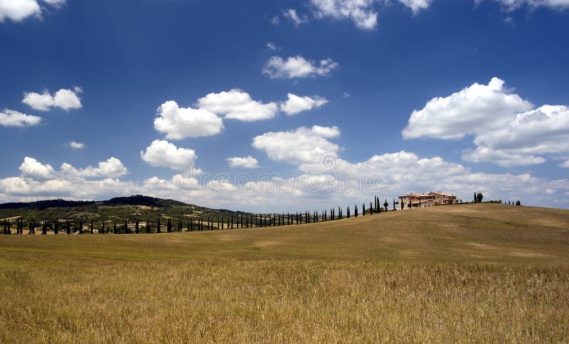 Tuscan Farmhouse stock photo. Image of italy, tourism, grain - 149088