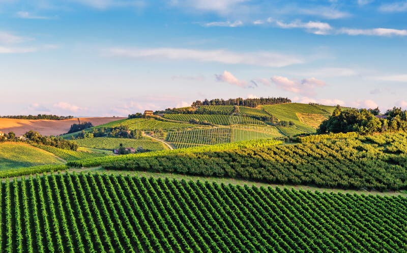 Tuscan farmhouse in Italy stock photo. Image of home - 139285250