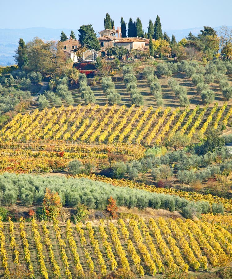 Tuscan Farmhouse & Landscape Near San Gimignano Tuscany Italy Stock ...