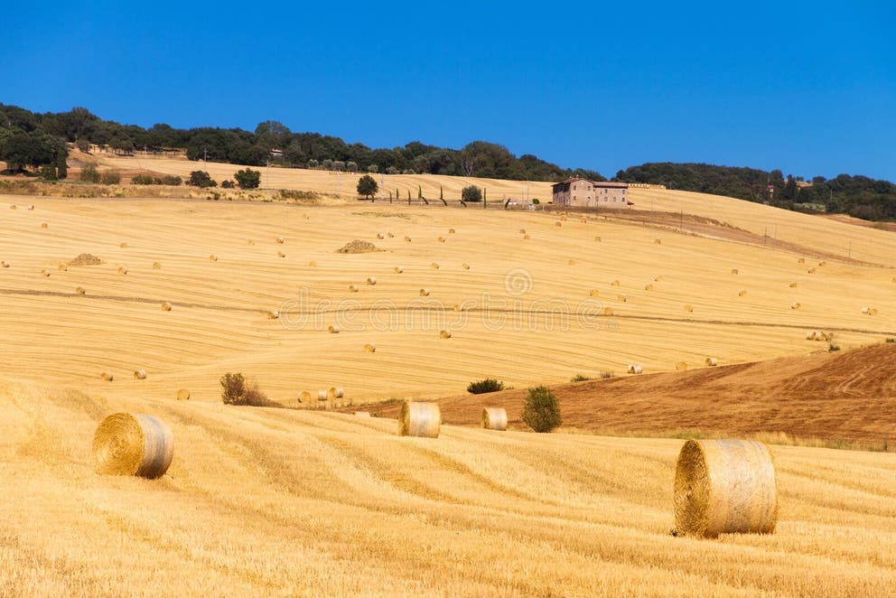 Tuscan fields stock image. Image of landscape, blue, crop - 26863809