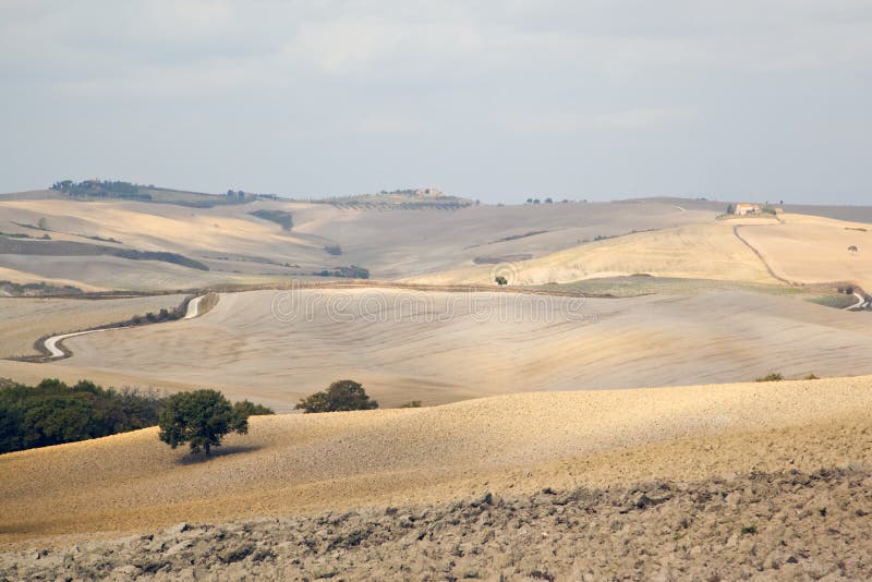 Tuscan Fields in Autumn / Fall Stock Photo - Image of tuscan, autumn ...