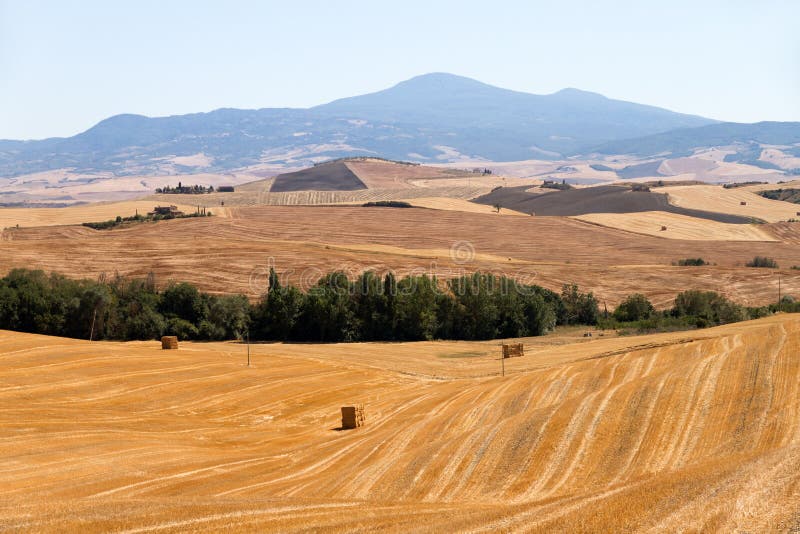Tuscan fields and hills stock image. Image of field, natural - 27343775
