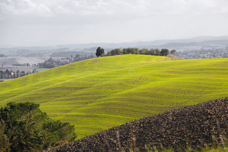 Tuscan Fields stock image. Image of tuscany, grape, gimignano - 34911493