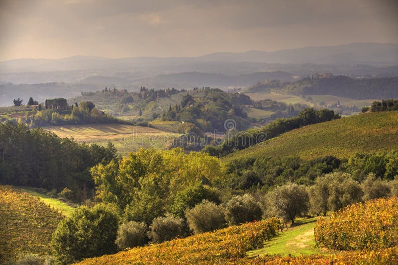 Tuscan Fields stock photo. Image of historic, europe - 43409782