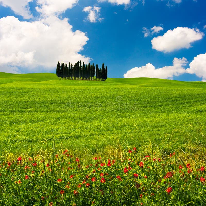 Tuscan Landscape stock image. Image of meadow, scenic - 2687843