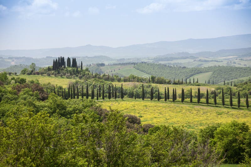Tuscan landscape stock photo. Image of summer, chianti - 75323666