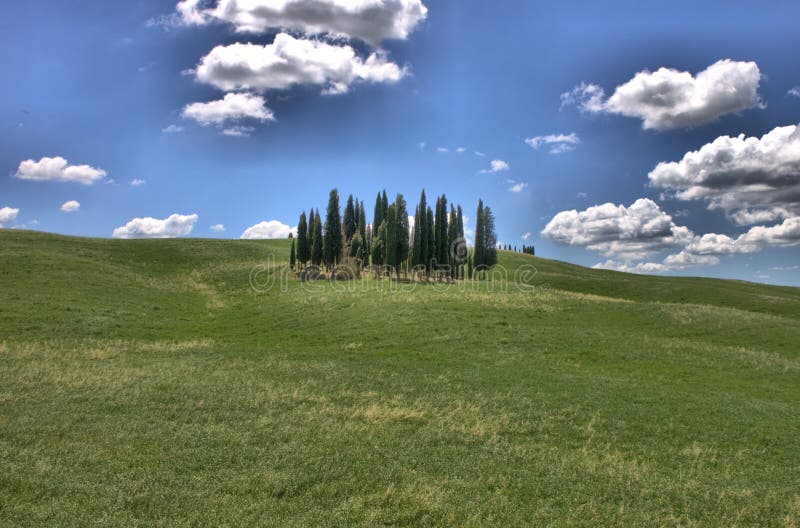 Tuscan Landscape with Cypress Trees Stock Photo - Image of hills ...
