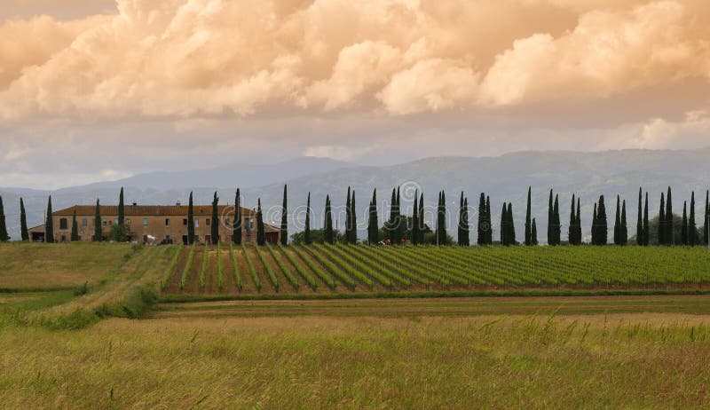Tuscan Landscape stock image. Image of landscape, hill - 35333329