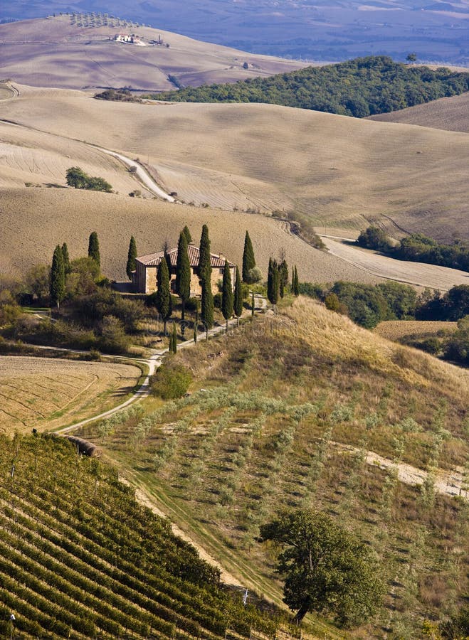 Tuscan Landscape, Isolated Farm with Cypress Stock Image - Image of ...