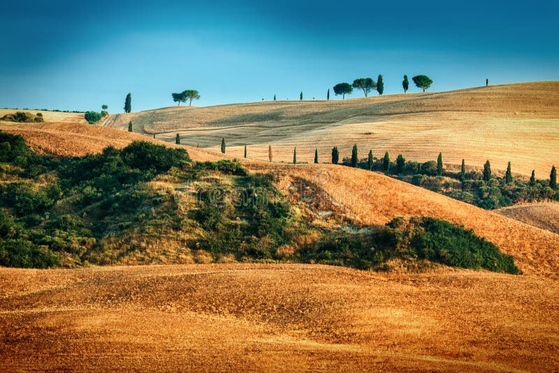 Tuscan Landscape in Summer Time Stock Image - Image of field, grass ...
