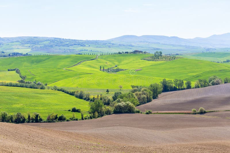 Tuscan Landscape View in the Spring Stock Image - Image of scenic ...