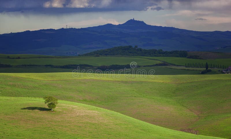Tuscan Rural Landscape in May Morning Stock Photo - Image of italy ...