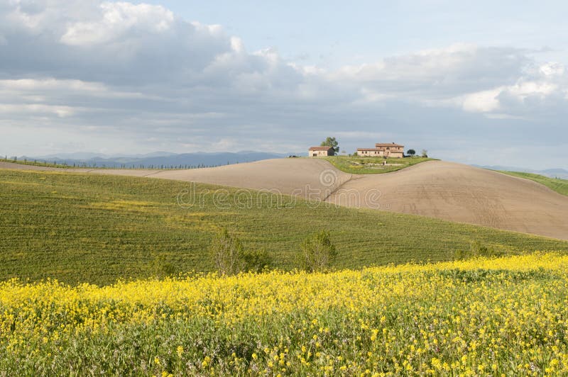 Tuscan spring stock photo. Image of house, yellow, hills - 24531766