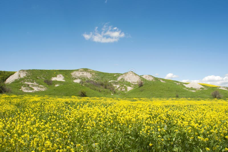 Tuscan spring stock image. Image of field, yellow, panoramic - 24820083