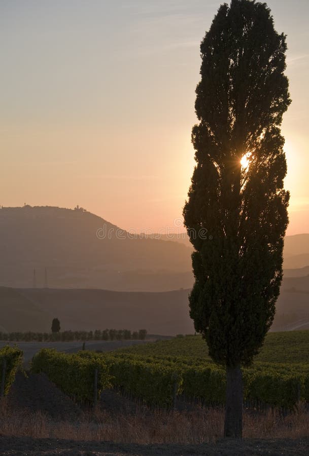 Tuscan sunset stock image. Image of classical, country - 6682455