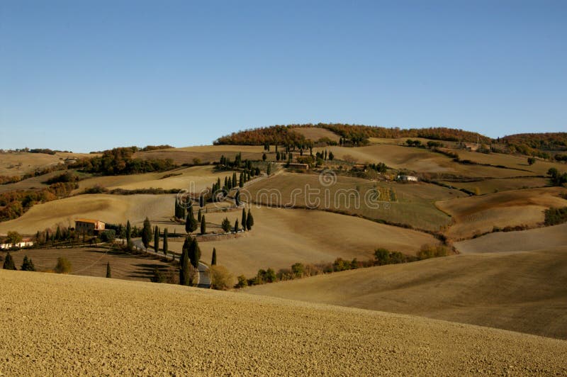 Tuscany in autumn stock photo. Image of bended, cypress - 6158310