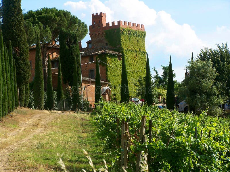 Tuscany stock photo. Image of outdoor, sunny, beautiful - 51791294