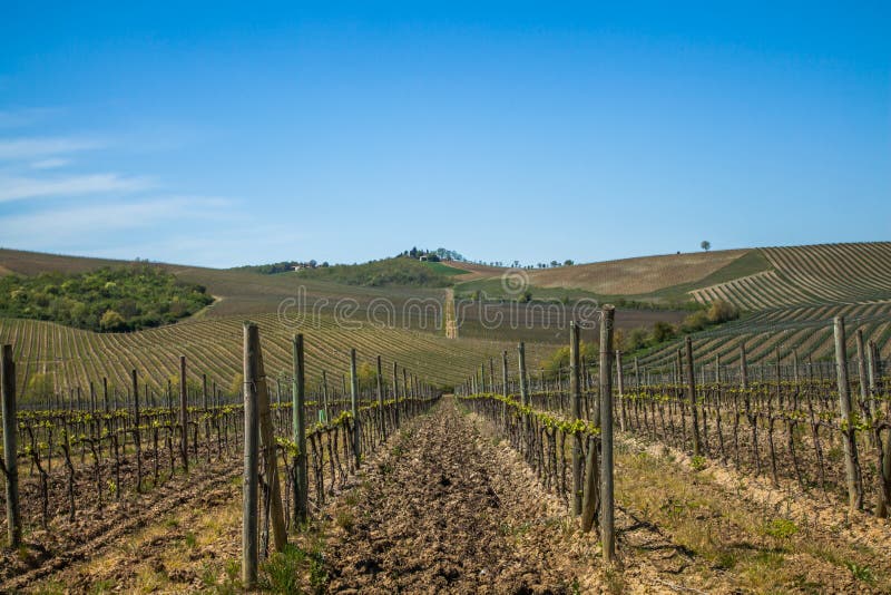 Tuscany Chianti Countryside Stock Image - Image of country, landschaft ...
