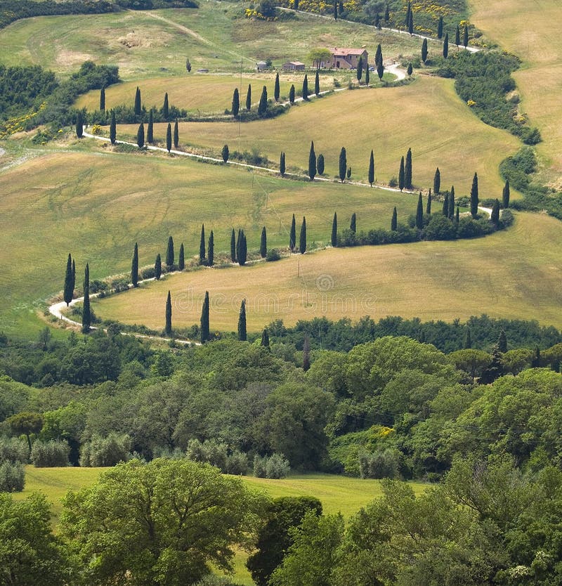 TUSCANY Countryside, Devious Street with Cypress Stock Image - Image of ...