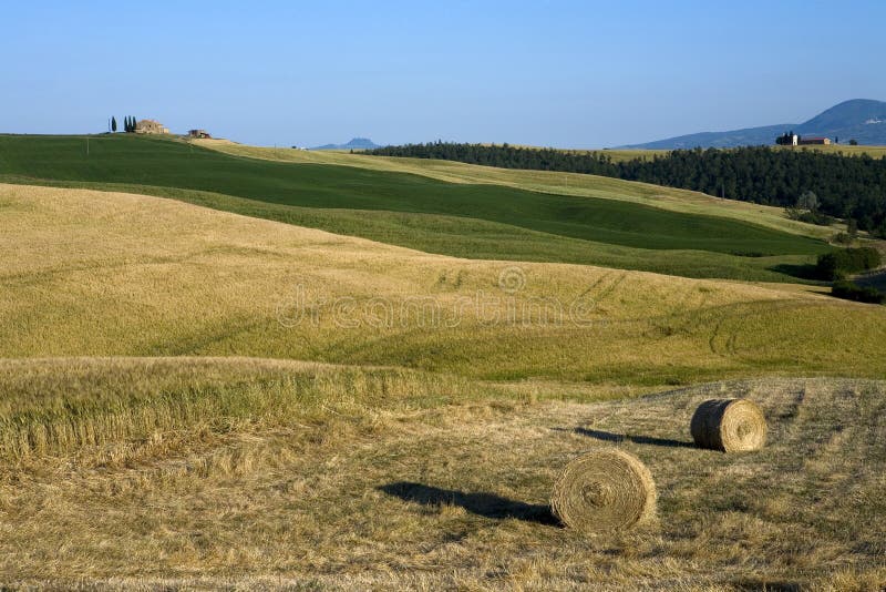 TUSCANY Countryside, Hayball Stock Image - Image of grow, culture: 6366845