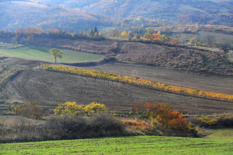 Tuscany Fall stock image. Image of culture, area, people - 41088007