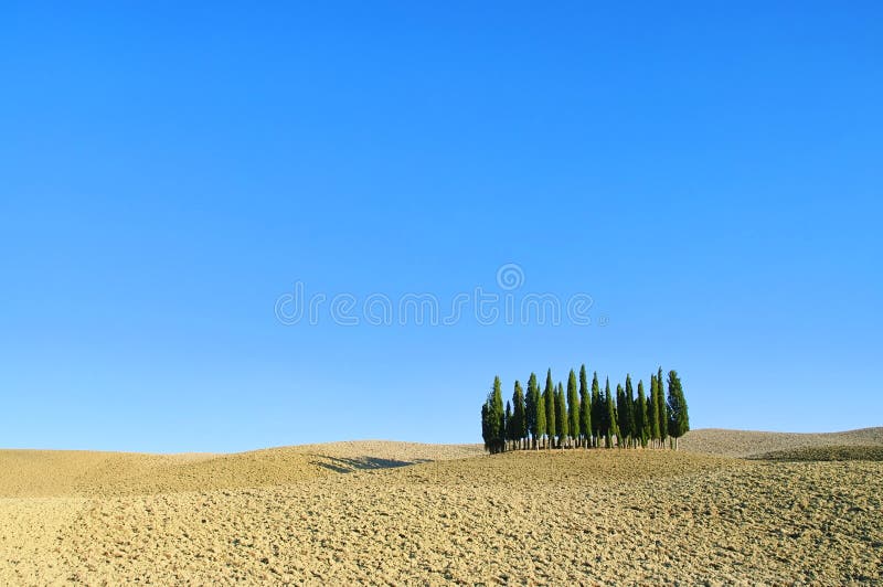 Tuscany forest in fall stock image. Image of hillside - 22668439