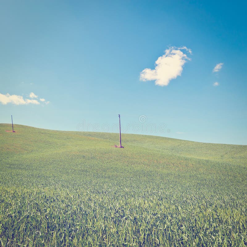 Tuscany stock photo. Image of cultivated, instagram, pastoral - 53916274