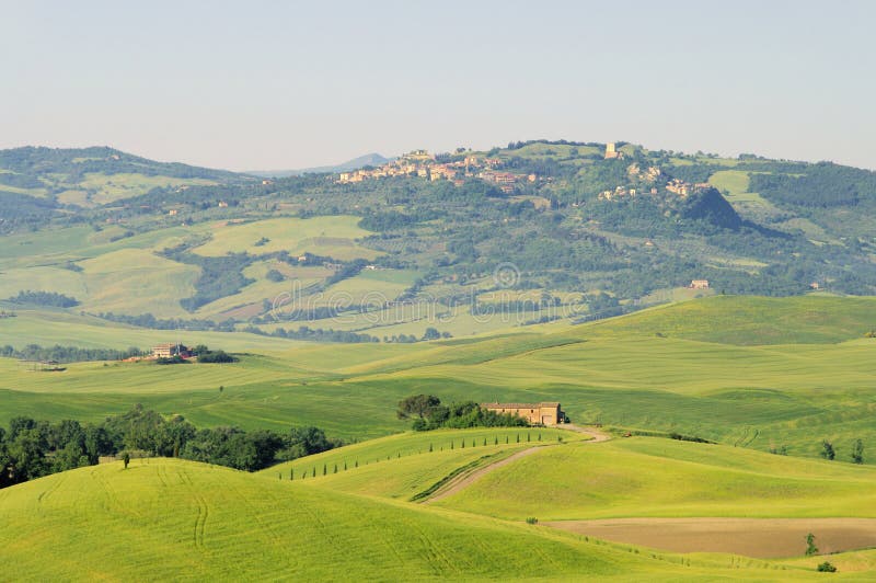 Rolling hills in Tuscany stock photo. Image of rolling - 2811368