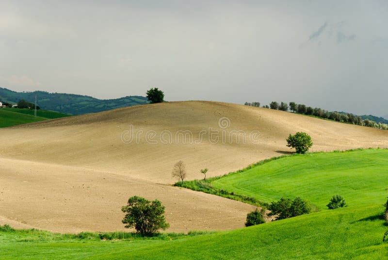 Tuscany hills stock image. Image of land, environment - 19872725