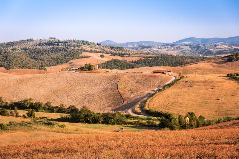 Tuscany hills and fields stock photo. Image of italy - 265786570