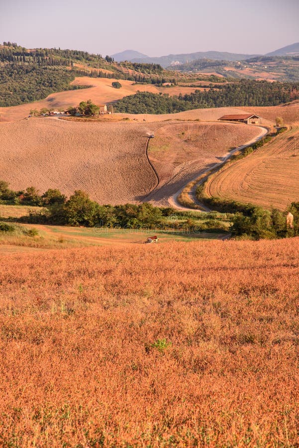 Tuscany Hills at sunset stock photo. Image of outdoor - 259621368