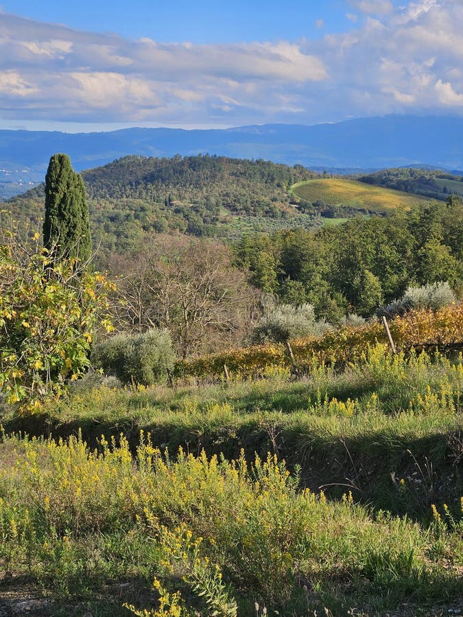 Tuscany Hills View in Autumn, Italy Stock Photo - Image of view, italy ...