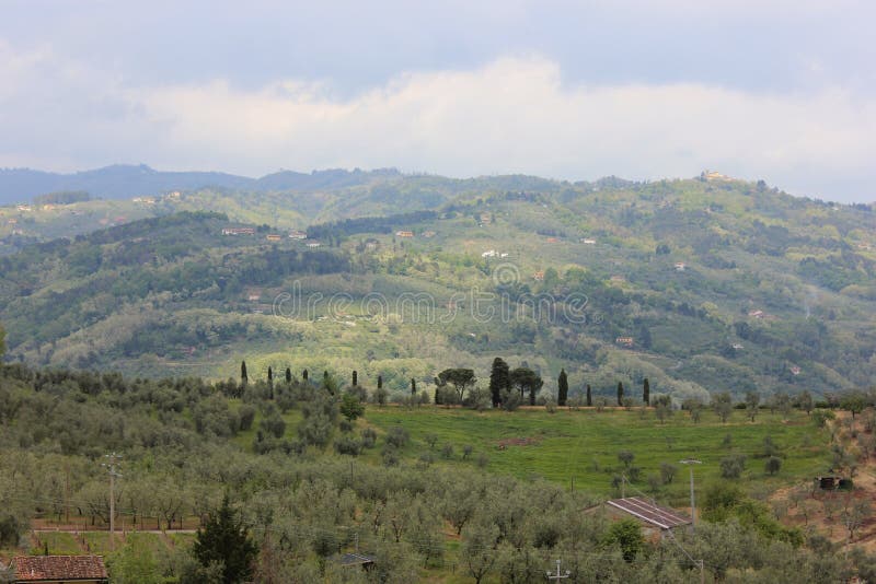 Tuscany stock photo. Image of landscape, cypress, line - 102508360