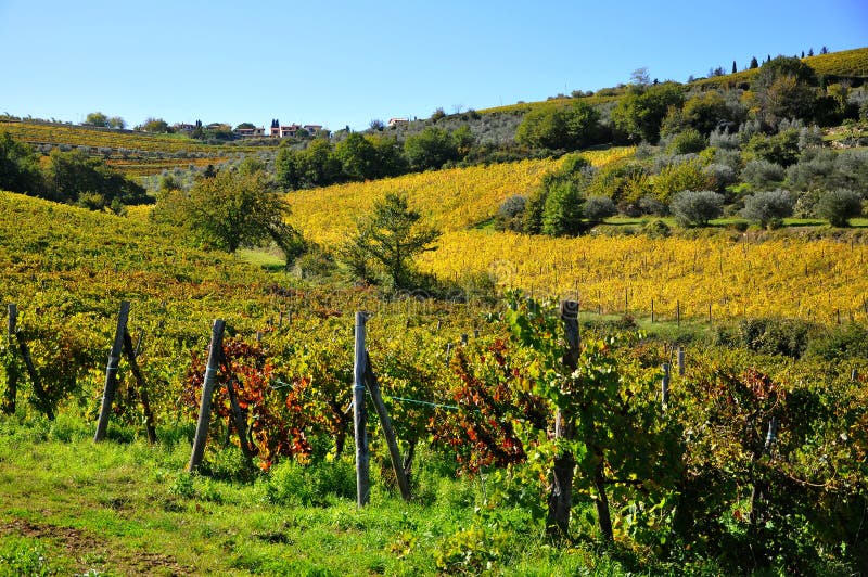 Agriculture in Tuscany , Italy Stock Image - Image of home, agriculture ...