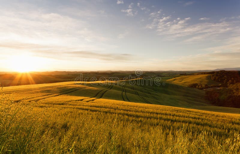 Tuscany. Italy stock image. Image of landscape, beauty - 41588213