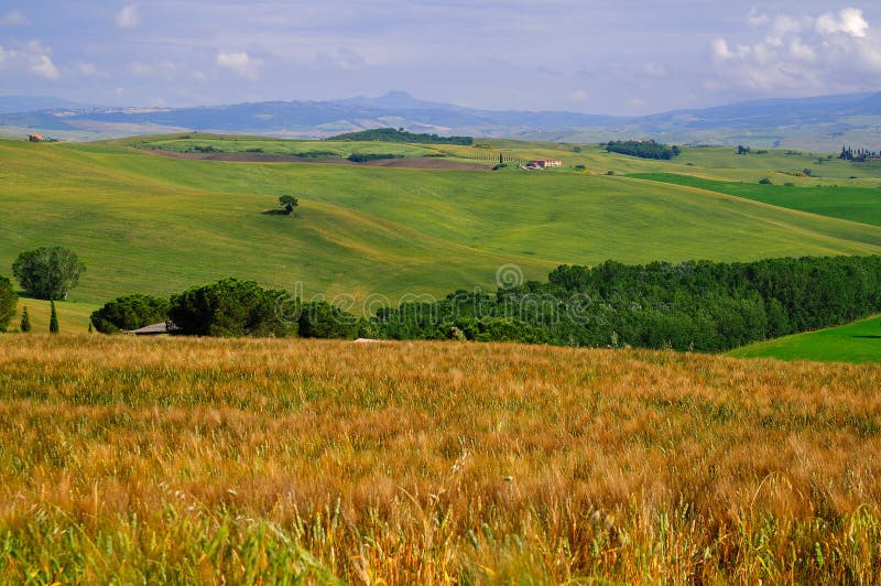 June Landscape stock photo. Image of evening, june, green - 2672414