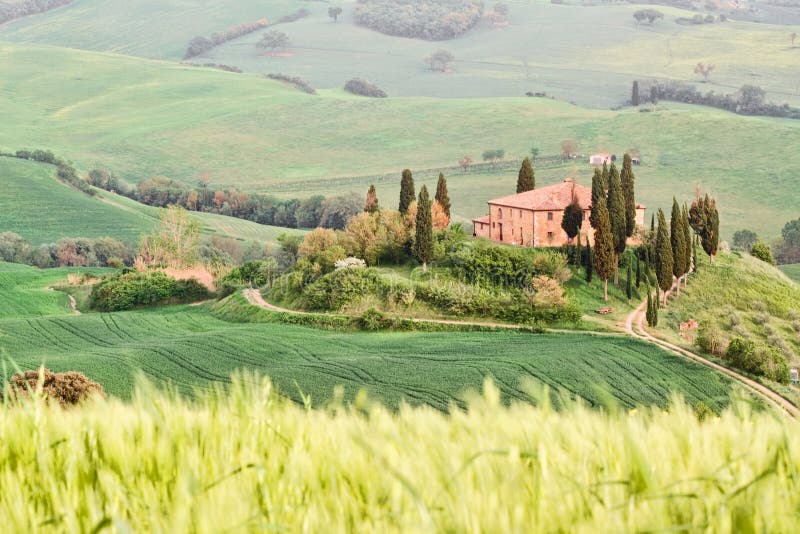 Landscape of Rural Tuscany, Italy Stock Image - Image of classical ...