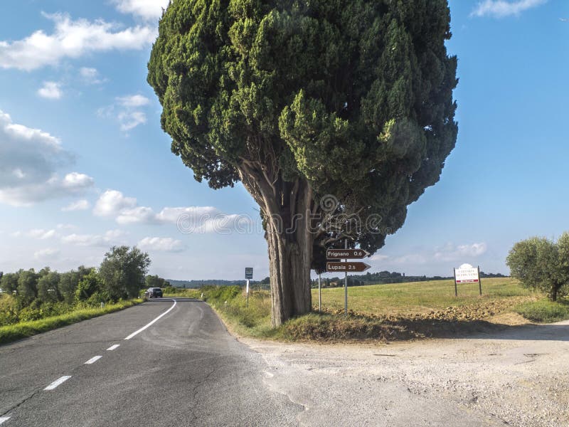 Tuscany landscape stock image. Image of italy, landscape - 47920069