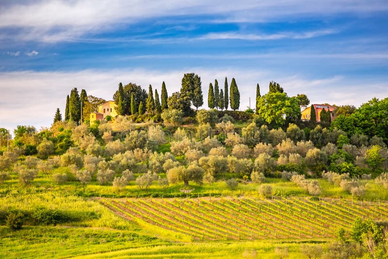 Tuscany at spring stock image. Image of italy, nature - 66388443