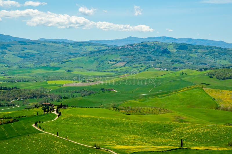 Tuscany, spring, landscape stock photo. Image of isolated - 311128454
