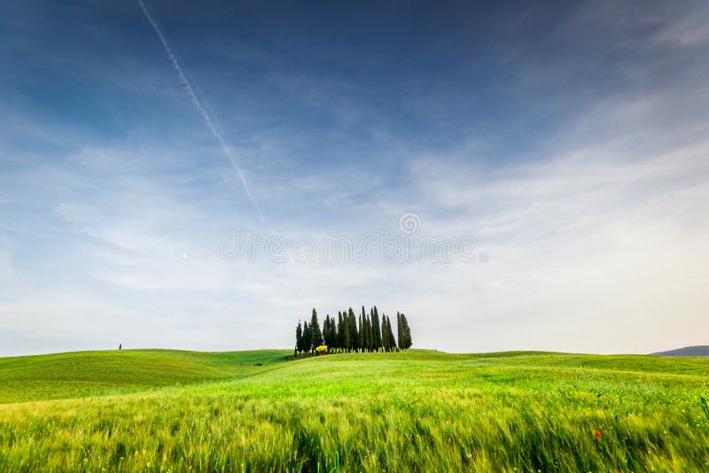 Tuscany, spring landscape stock photo. Image of italy - 90375426