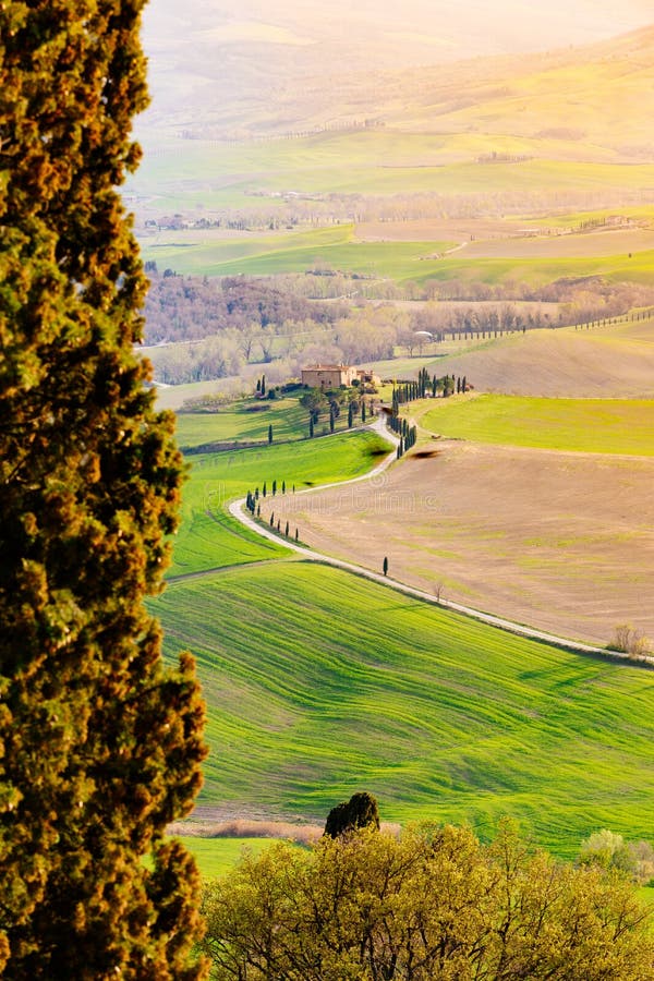 Tuscany Spring, Rolling Hills on Misty Sunset. Rural Landscape. Stock ...