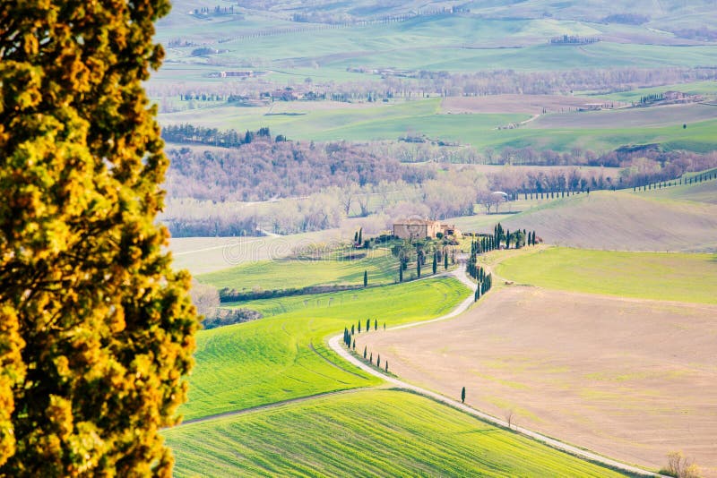 Tuscany, spring landscape stock photo. Image of hills - 90085102